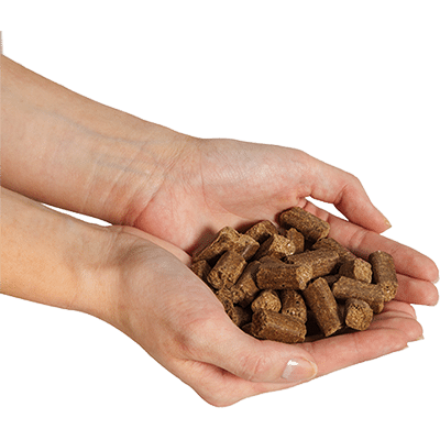 Healthy Cold Pressed Dog Food Sample Packs | Guru Pet Food