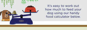 Healthy Dog Food Feeding Guide | Guru Pet Food
